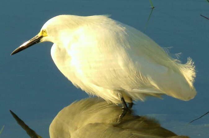 Alexander Springs 4 Hour Guided Kayak/ Swim/ Snorkel Adventure - Final Takeaway