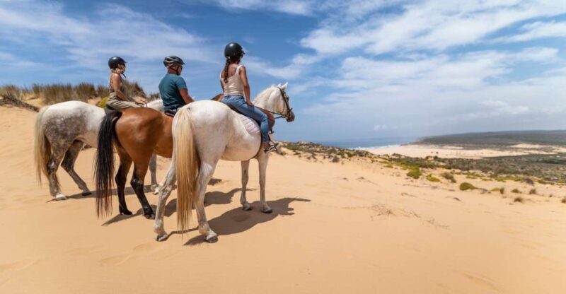 Algarve: 1-Hour Carrapateira Horseback Riding Tour - The Guides: Knowledgeable and Engaging