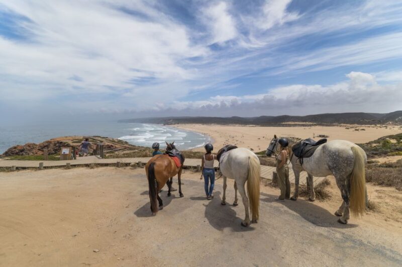 Algarve: 1-Hour Carrapateira Horseback Riding Tour - The Horses: Calm, Friendly, Well-Trained