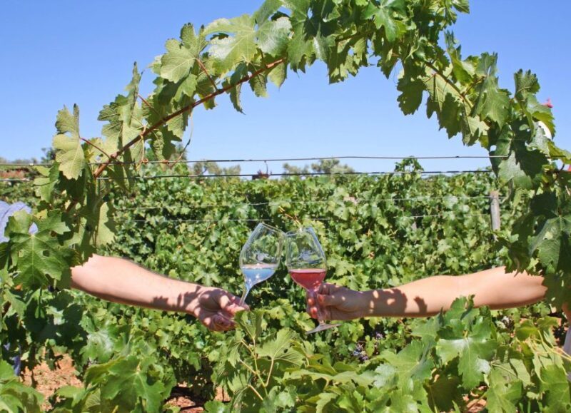 Algarve: 3 Types of Wine Tastings with Vineyard Views - The Value of This Experience for Travelers