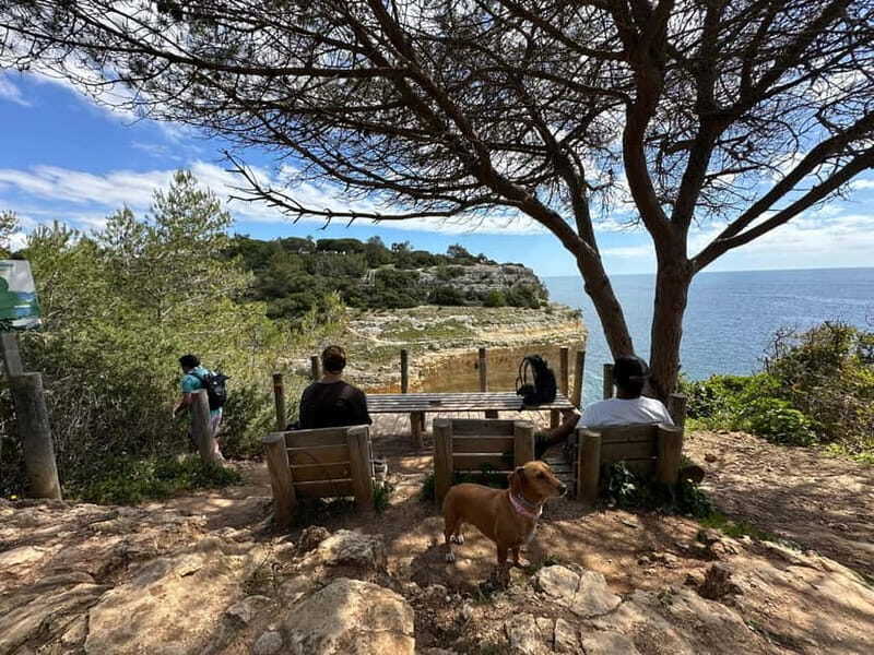 Algarve: 7 Seven Hanging Valley Hike Tour- Photos & Transfer - What to Expect from the Full Algarve Seven Hanging Valleys Experience
