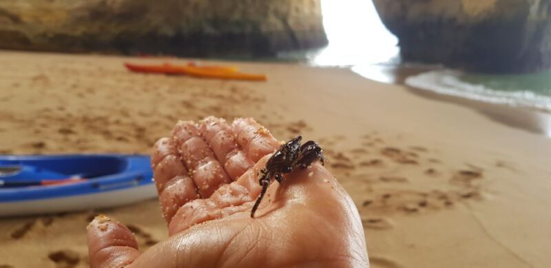 Algarve: Benagil Cave Sunrise Kayak Tour with Shower Use - FAQ