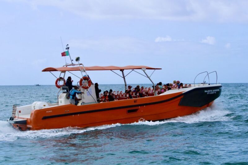 Algarve: Benagil Caves Open Speedboat Tour - Dolphins and Wildlife