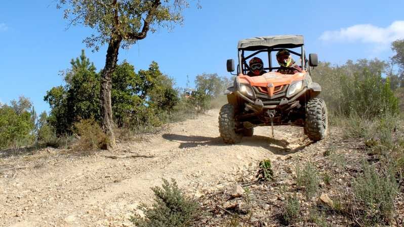 Algarve Buggy Tours - A Closer Look at Algarve Buggy Tours: The Experience