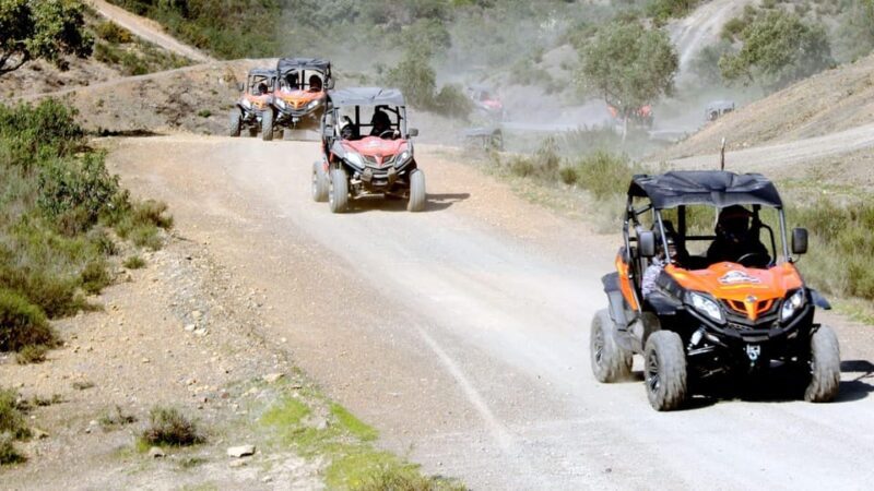 Algarve Buggy Tours - Final Thoughts: Who Will Love Algarve Buggy Tours?