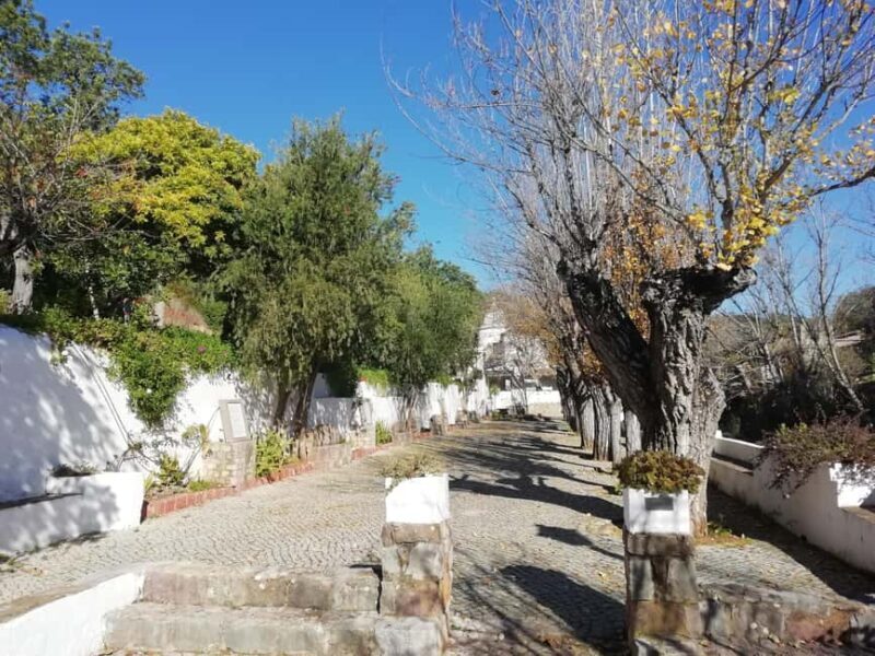 Algarve: Caldeirão Mountains and Villages Tour - Who Will Love This Tour?