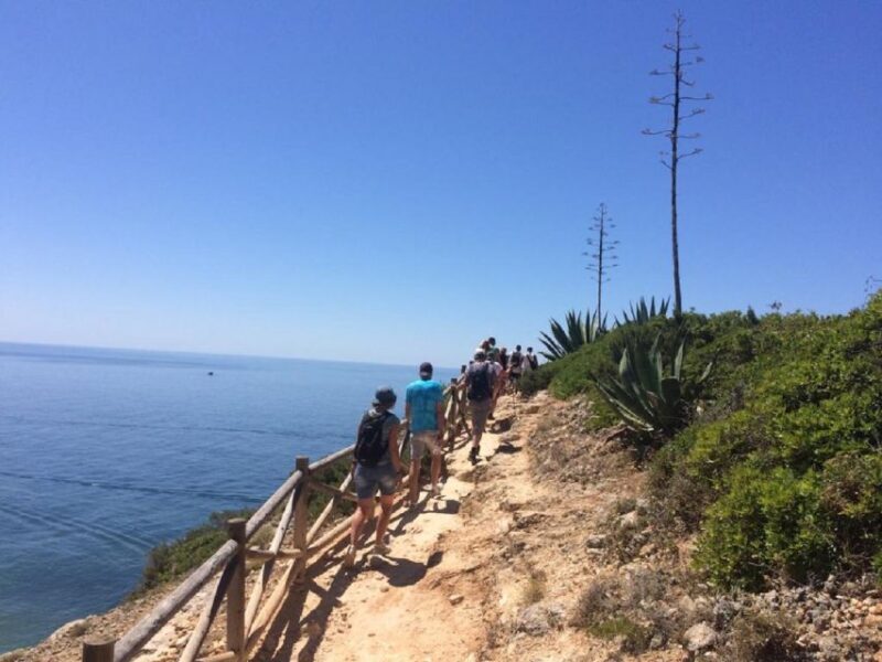 Algarve: Carvoerio and Benagil Walking Tour and Cruise - Transportation & Group Size