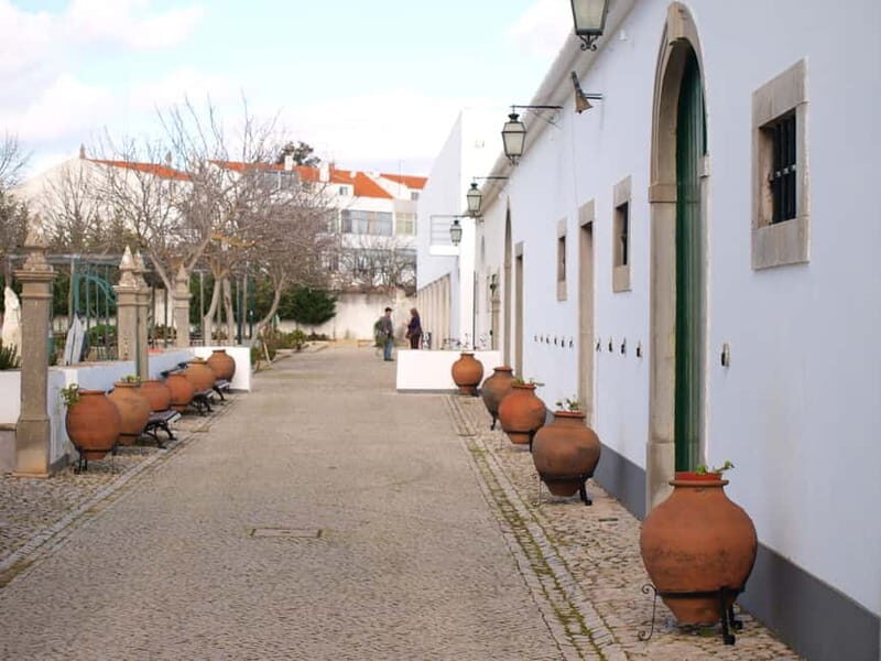 Algarve: Flavors and Traditions Tour - Practical Details