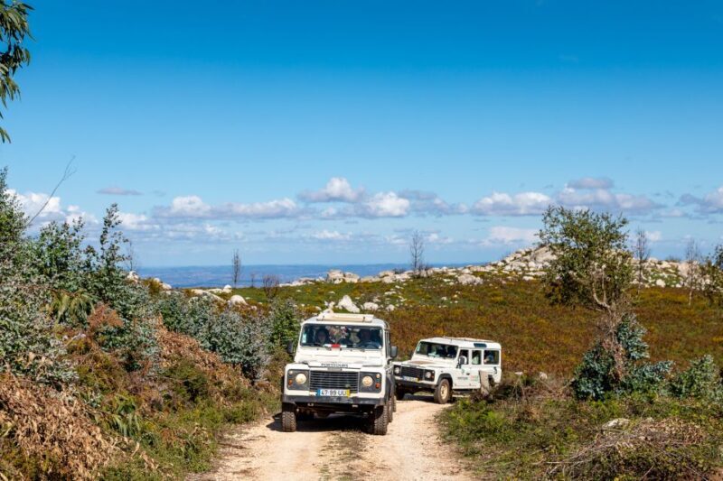 Algarve: Full-Day Guided Sightseeing Tour with Lunch - Ascending into Monchique: Mountain Views and Thermal Water
