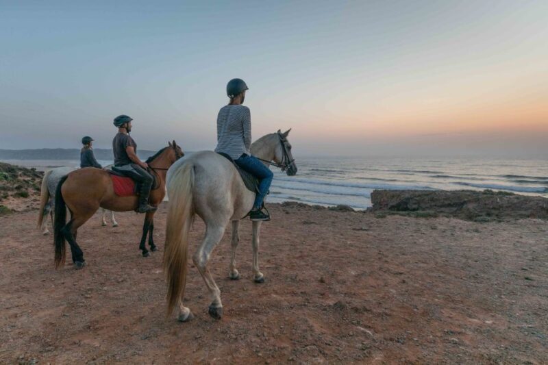 Algarve: Horse Riding Beach Tour at Sunset or Morning - What Travelers Say: Authentic Perspectives