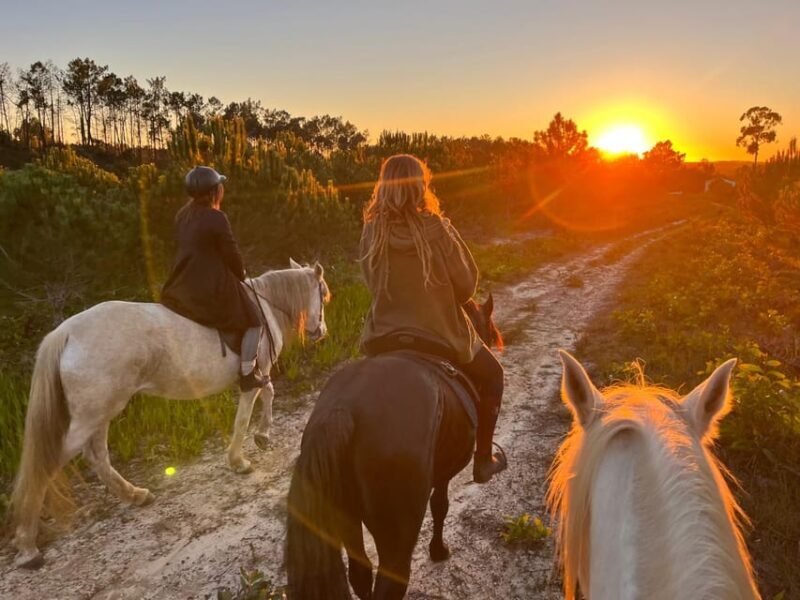 Algarve Horseriding tour in the countryside of Aljezur Rogil - Algarve Horseriding Tour in the Countryside of Aljezur Rogil