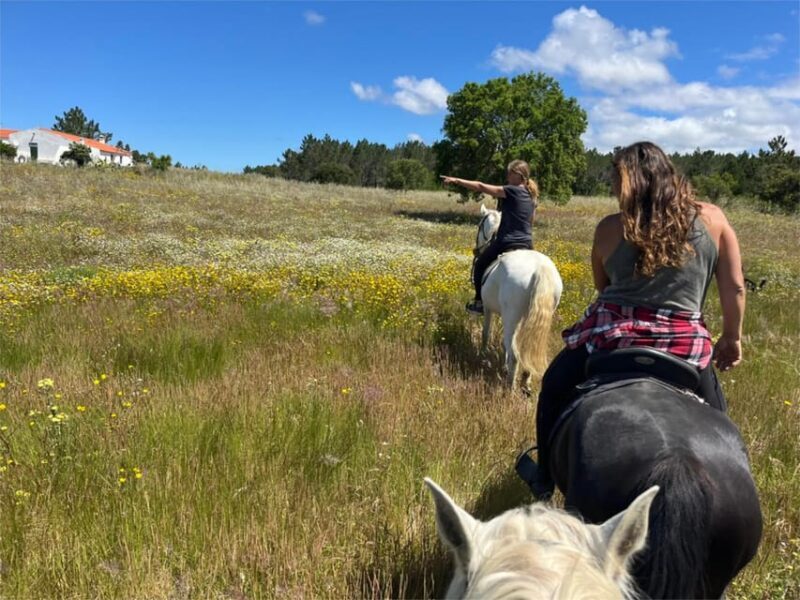 Algarve Horseriding tour in the countryside of Aljezur Rogil - Authentic Reviews and Traveler Insights