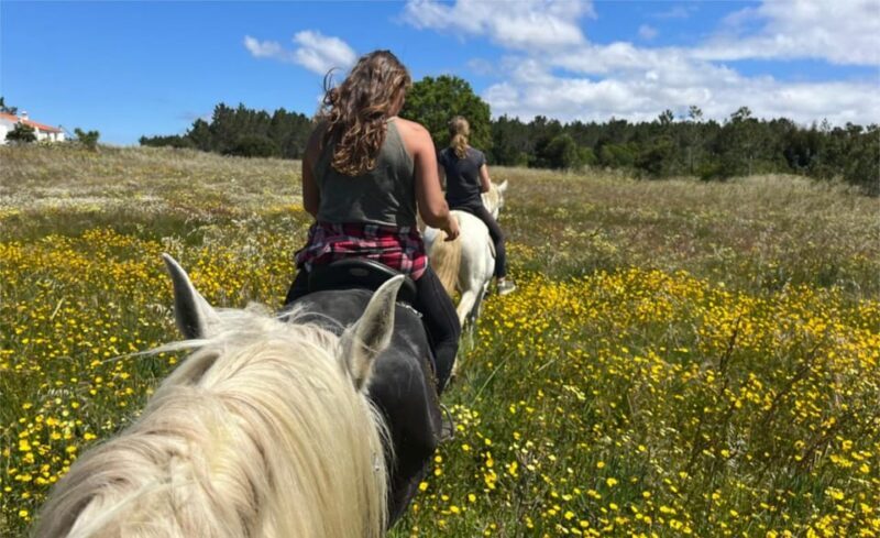 Algarve Horseriding tour in the countryside of Aljezur Rogil - The Sum Up