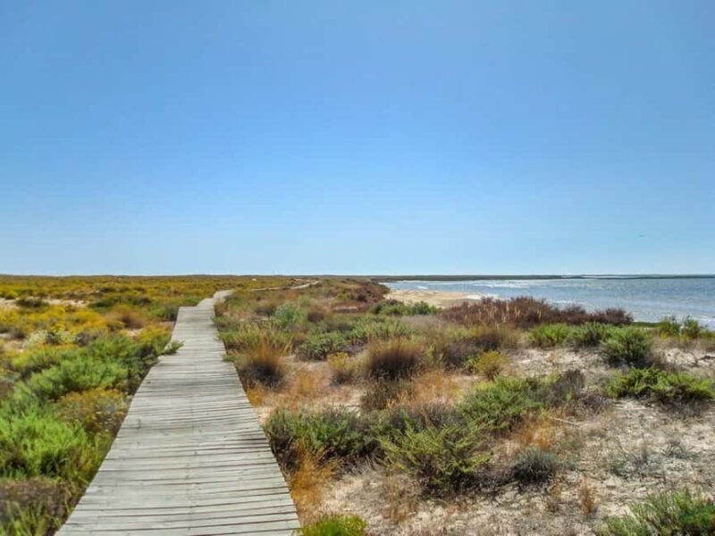 Algarve: Olhão Highlights Tour and Ria Formosa Boat Trip - The Breakdown of the Itinerary