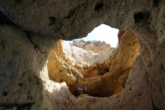 Algarve Private Tour from Lisbon - Deep Dive into the Value and Practicalities