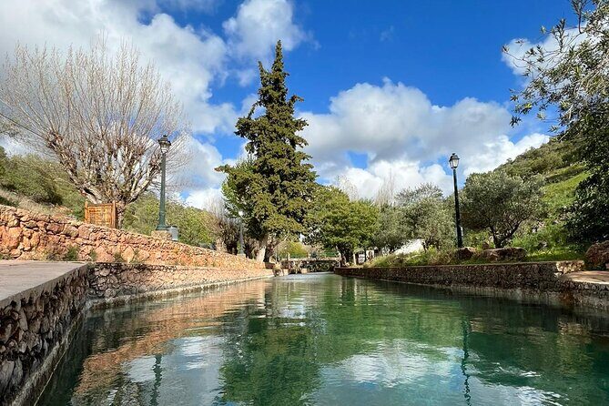 Algarve Safari - Half Day from Albufeira - An In-Depth Look at the Algarve Safari Experience