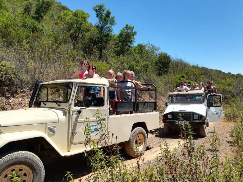 Algarve: Sunset Jeep Safari Tour - The Vehicles and Group Size