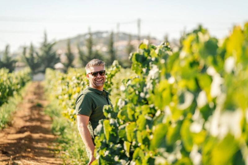 Algarve: Vineyard Tour & Premium Wine Tasting in Silves - A Closer Look at the Vineyard Tour Experience