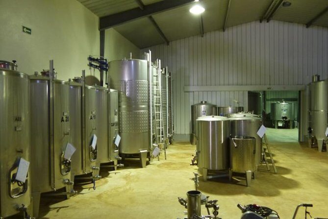 Algarve wine tour and farmer's lunch at wine estate - Authentic Experiences and What You’ll Remember
