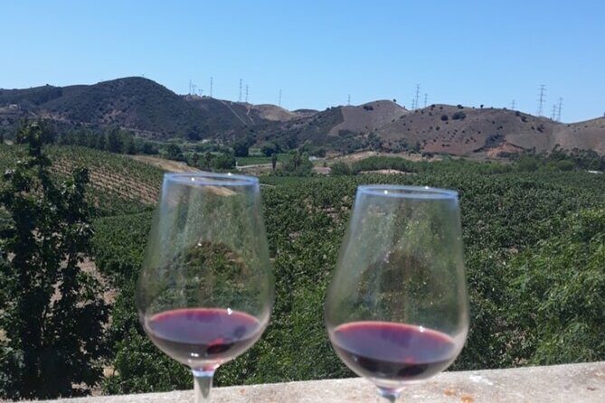 Algarve wine tour and farmer's lunch at wine estate - Who This Tour Is Best Suited For