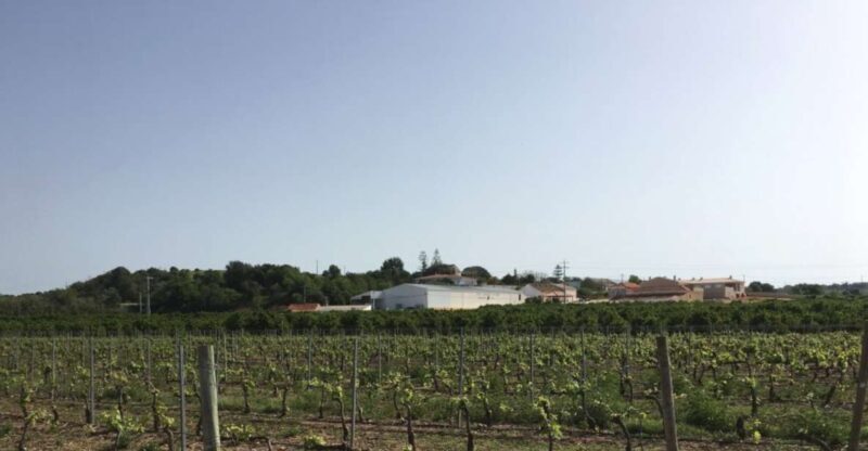 Algarve wine tour and mountain top trip with lunch or dinner - An In-Depth Look At The Tour