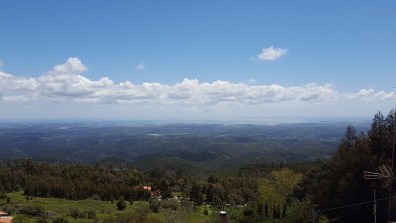 Algarve wine tour and mountain top trip with lunch or dinner - Who Should Consider This Tour?