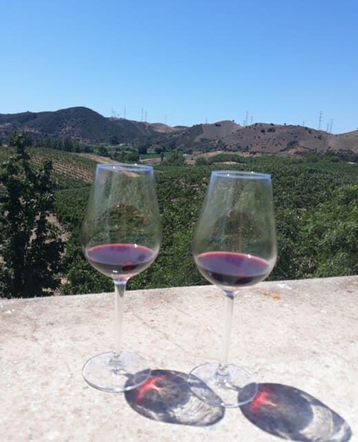 Algarve Wine Tour of two estates guided by wine expert - Practical Details That Matter