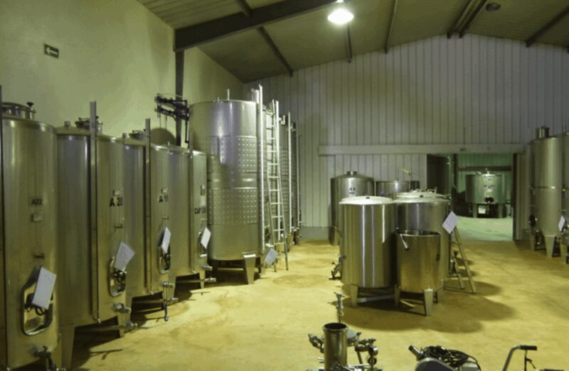 Algarve Wine Tour of two estates guided by wine expert - What You Need to Know