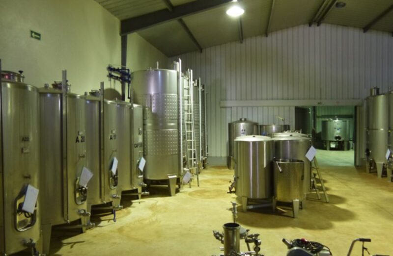 Algarve Wine Tour of two estates guided by wine expert - Final Thoughts