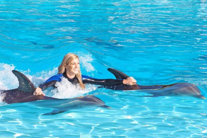 Algarve Zoomarine Ticket and Dolphin Emotions Experience - What Is Included in the Experience?