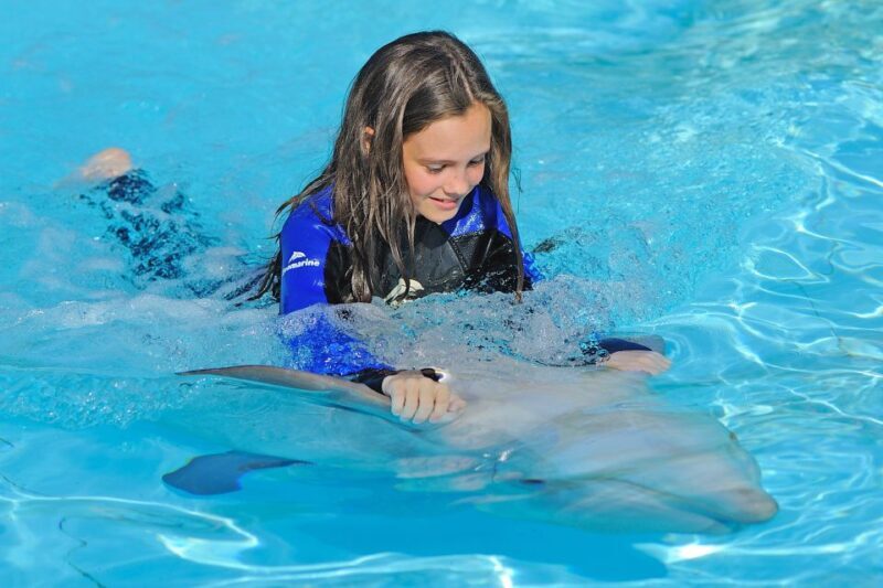 Algarve Zoomarine Ticket and Dolphin Emotions Experience - The Trainers and the Experience Quality