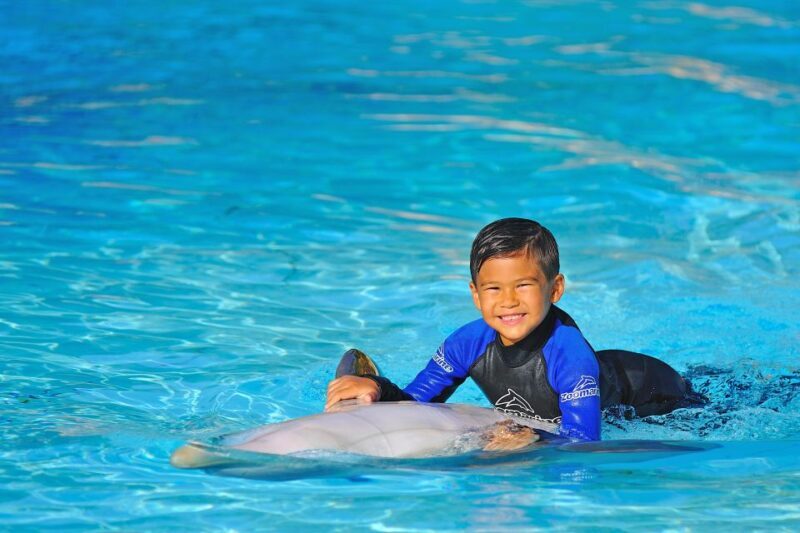 Algarve Zoomarine Ticket and Dolphin Emotions Experience - Price versus Value