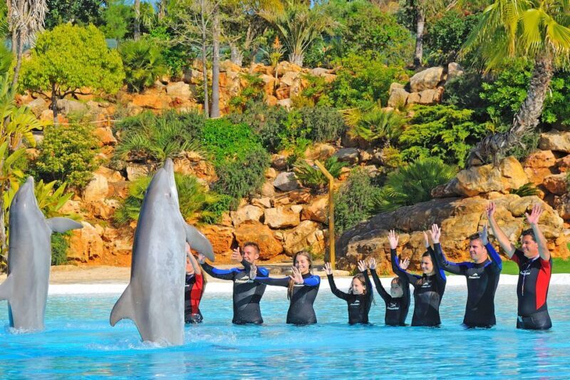 Algarve Zoomarine Ticket and Dolphin Emotions Experience - Who Should Consider This Experience?