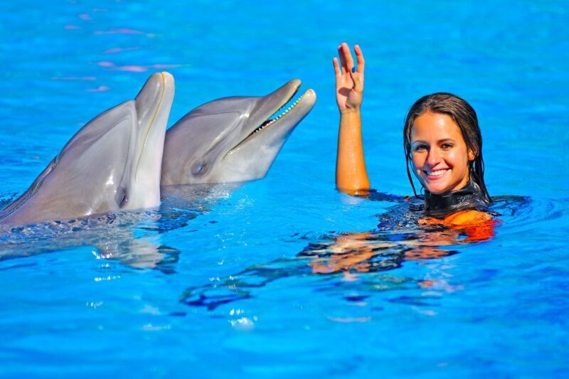 Algarve Zoomarine Ticket and Dolphin Emotions Experience - FAQ