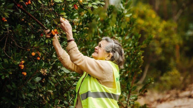 ALGARVE'S ARBUTUS BERRY TRAIL - Final Thoughts: Who Will Love This Tour?