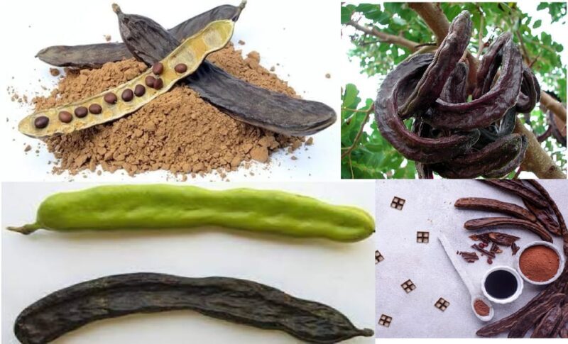 ALGARVE'S CAROB TRAIL - Starting Point: Introduction and Heritage