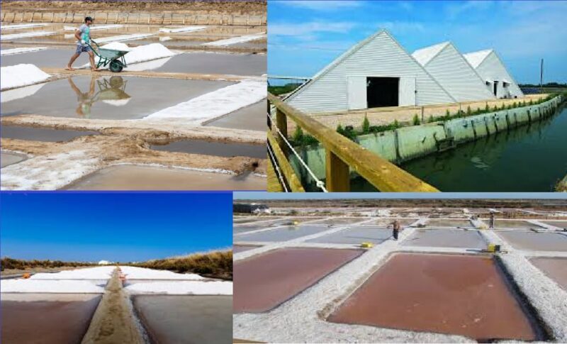 ALGARVE'S SALT TRAIL - Algarves Salt Trail: A Genuine Taste of Portugal’s Salt Heritage