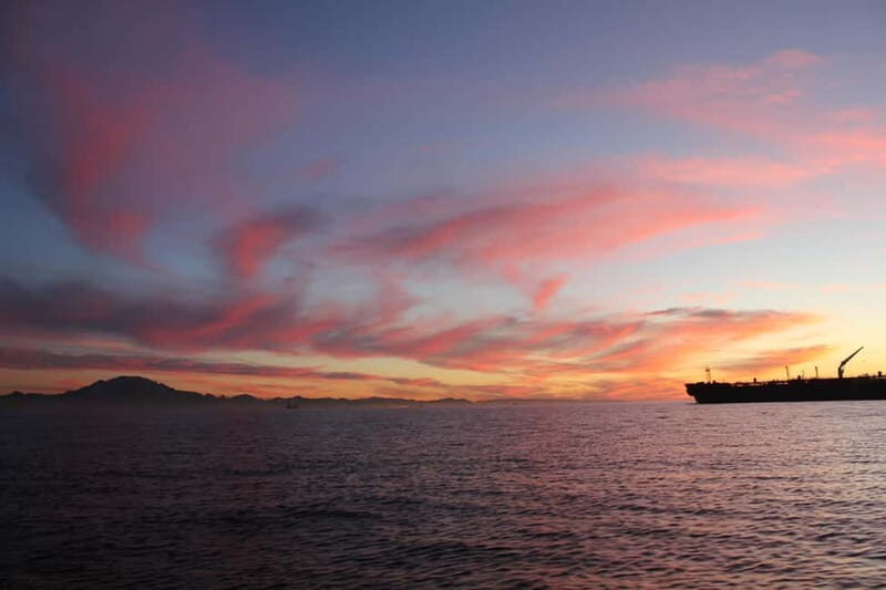 Algeciras: Dolphin and whale watching in reduced groups - Who Will Love This Experience?