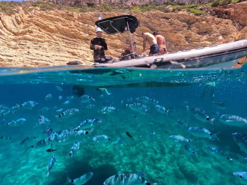 Alghero: Boat Tour and Snorkeling with Aperitif Porto Conte - An In-Depth Look at the Experience