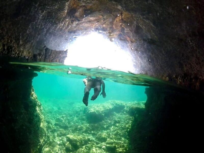 Alghero: Boat Tour with Snorkeling in Porto Conte - Authentic Experiences and Authentic Reviews