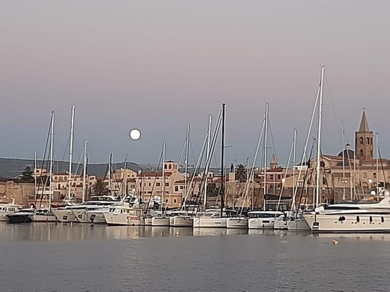 Alghero catamaran sunset tour Alghero - Key Points