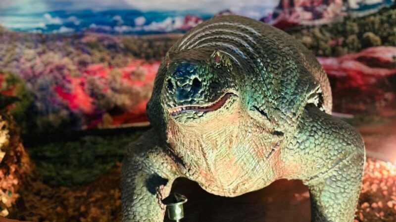Alghero: Discover dinosaurs in Porto Conte Park - Key Points