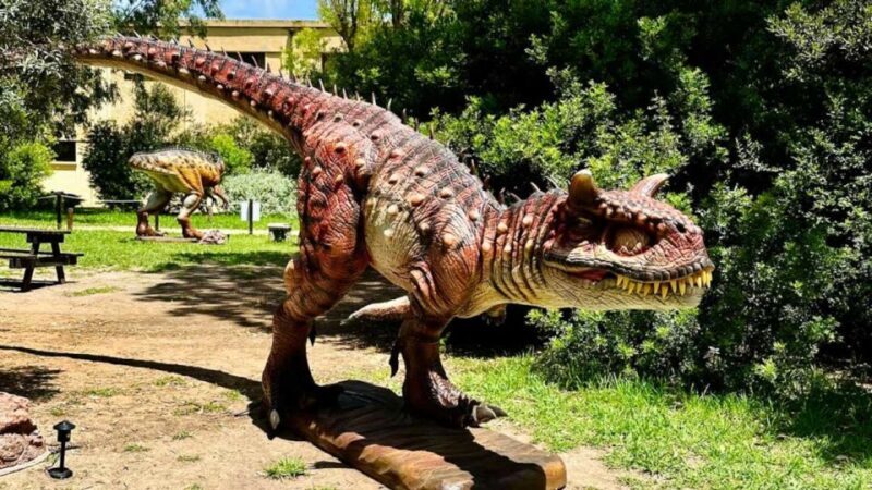 Alghero: Discover dinosaurs in Porto Conte Park - A Closer Look at the Dinosaur Exhibit
