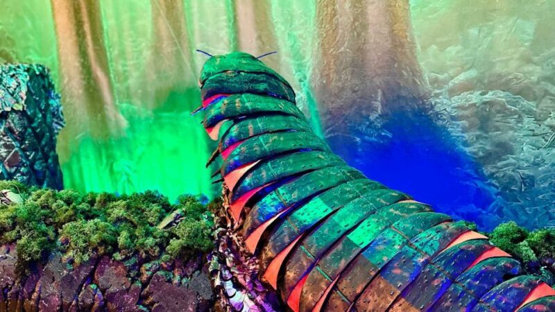 Alghero: Discover dinosaurs in Porto Conte Park - Who Will Love This?