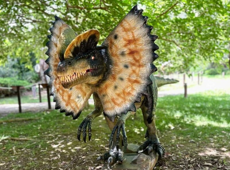 Alghero: Discover dinosaurs in Porto Conte Park - FAQ