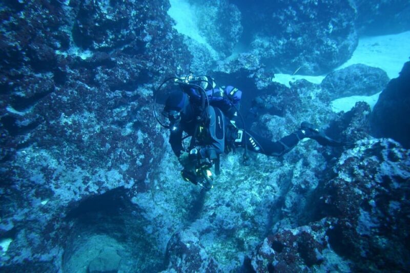 Alghero: discovery diving lesson for beginners - Alghero: Discovery Diving Lesson for Beginners — A Complete Guide