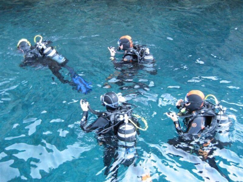 Alghero: discovery diving lesson for beginners - Practical Details: Pricing, Group Size, and What’s Included