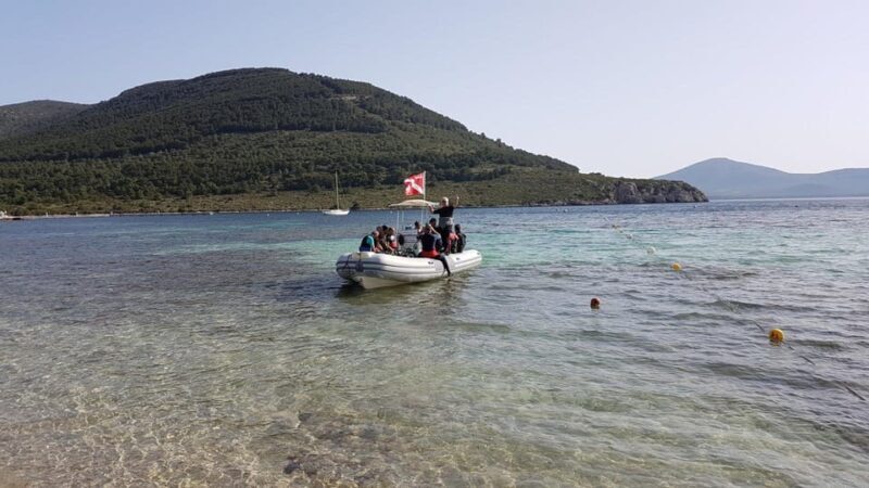 Alghero: discovery diving lesson for beginners - The Sum Up