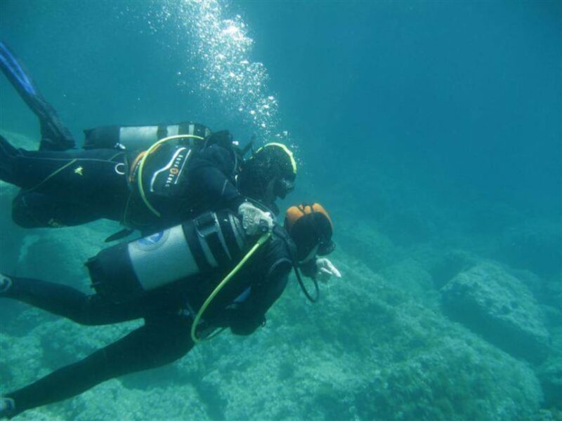 Alghero: diving for professionals at Capo Caccia - Starting Point and Transport: A Smooth Arrival