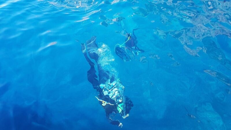 Alghero: diving for professionals at Capo Caccia - Safety and Equipment